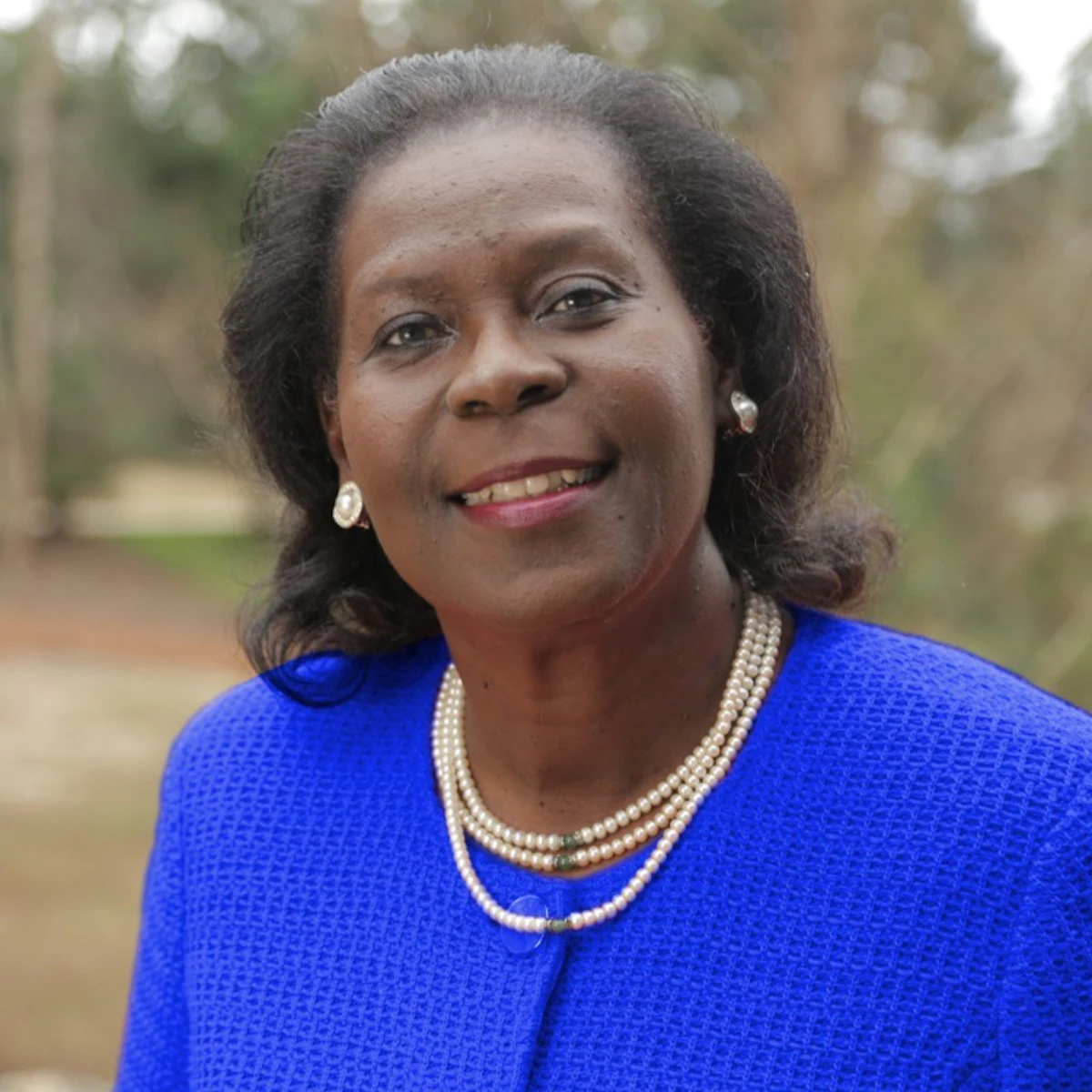 Patricia Timmons-Goodson Appointed Dean of North Carolina Central ...